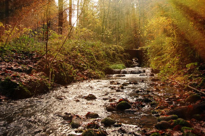 Gemeinde Heimberg - Willkommen | Gemeindeverwaltung Heimberg
