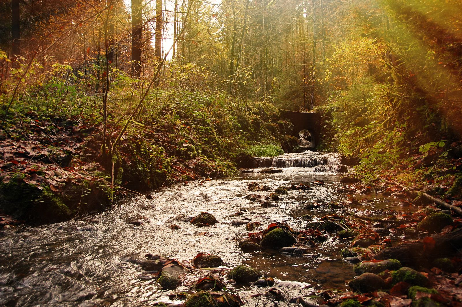 Gemeinde Heimberg - Willkommen | Gemeindeverwaltung Heimberg