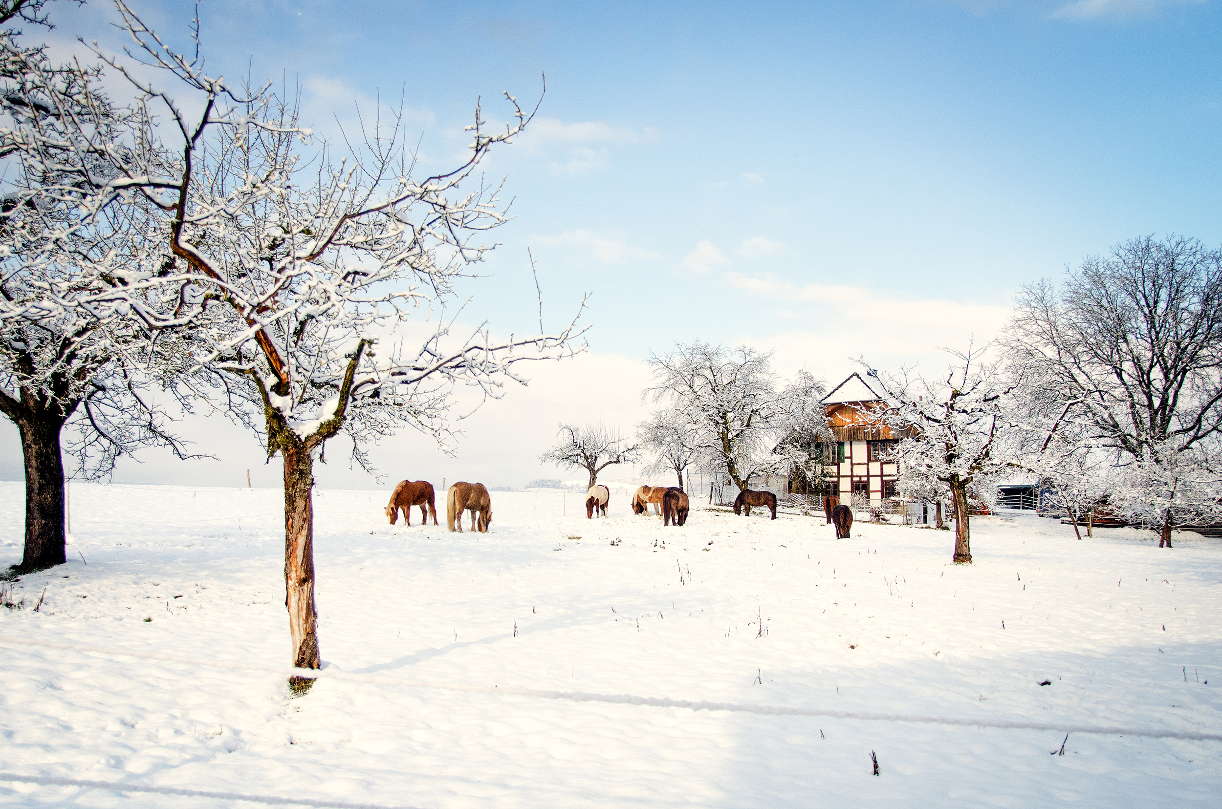 Mitarbeitende | Gemeindeverwaltung Heimberg