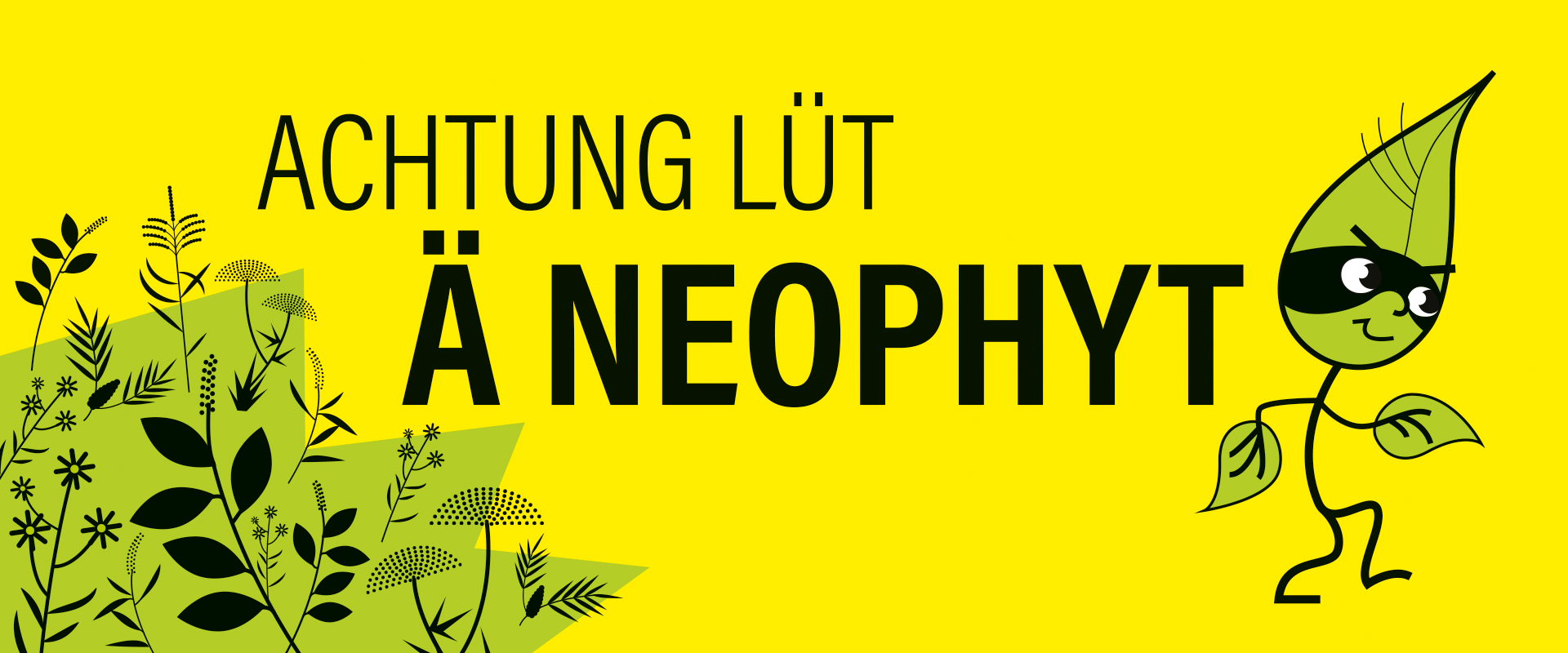 Neophytenkampagne | Gemeindeverwaltung Heimberg